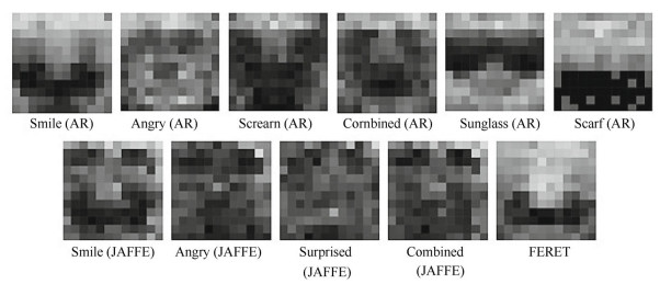 Robust Face Recognition Against Expressions and Partial Occlusions