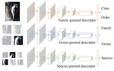 A Survey on Deep Learning-based Fine-grained Object Classification and Semantic Segmentation