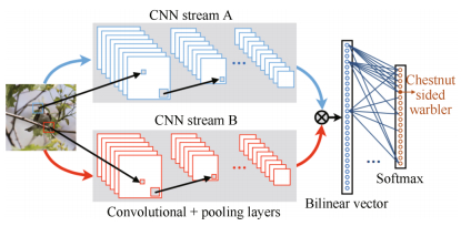A Survey on Deep Learning-based Fine-grained Object Classification and Semantic Segmentation