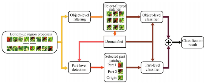 A Survey on Deep Learning-based Fine-grained Object Classification and Semantic Segmentation