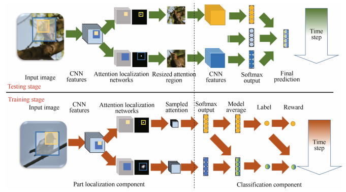 A Survey on Deep Learning-based Fine-grained Object Classification and Semantic Segmentation