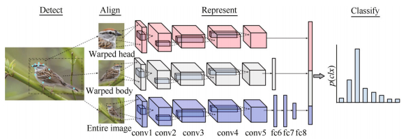 A Survey on Deep Learning-based Fine-grained Object Classification and Semantic Segmentation