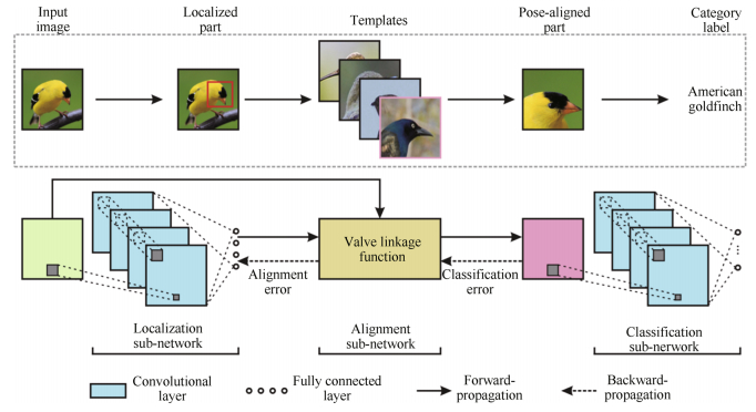 A Survey on Deep Learning-based Fine-grained Object Classification and Semantic Segmentation