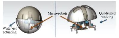 A Novel Design of an Aquatic Walking Robot Having Webbed Feet