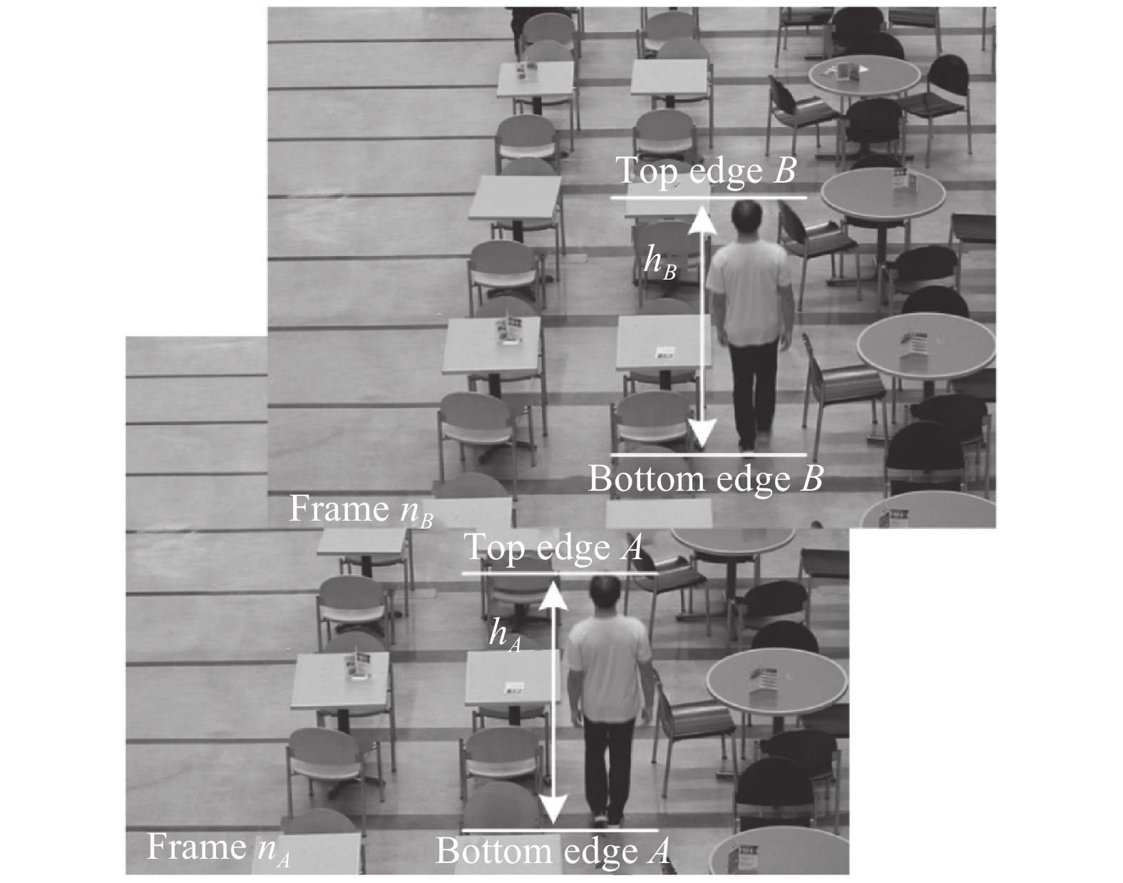 Pedestrian Height Estimation and 3D Reconstruction Using Pixel ...