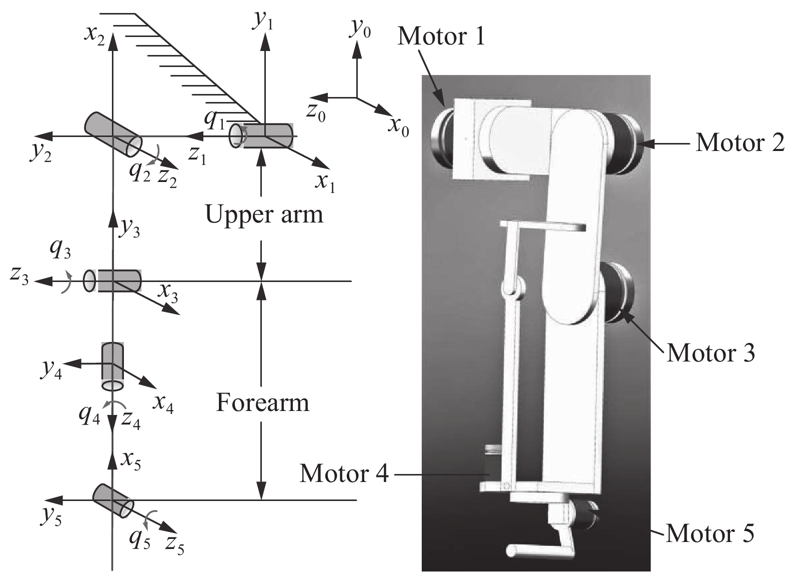 Integrated Observer-based Fixed-time Control with Backstepping Method for Exoskeleton Robot