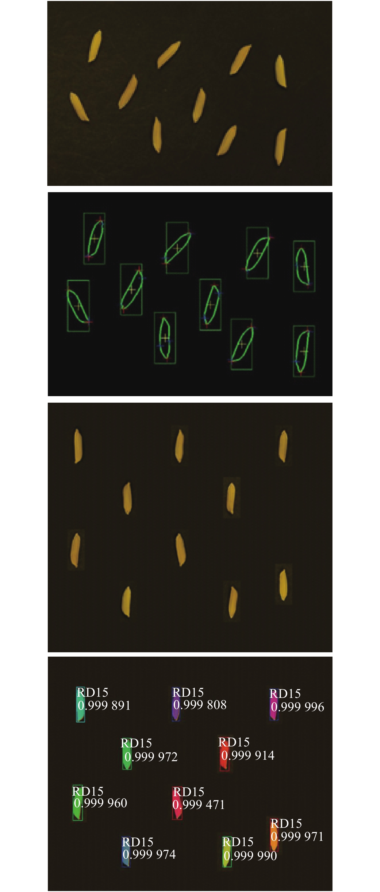 Localization and Classification of Rice-grain Images Using Region ...