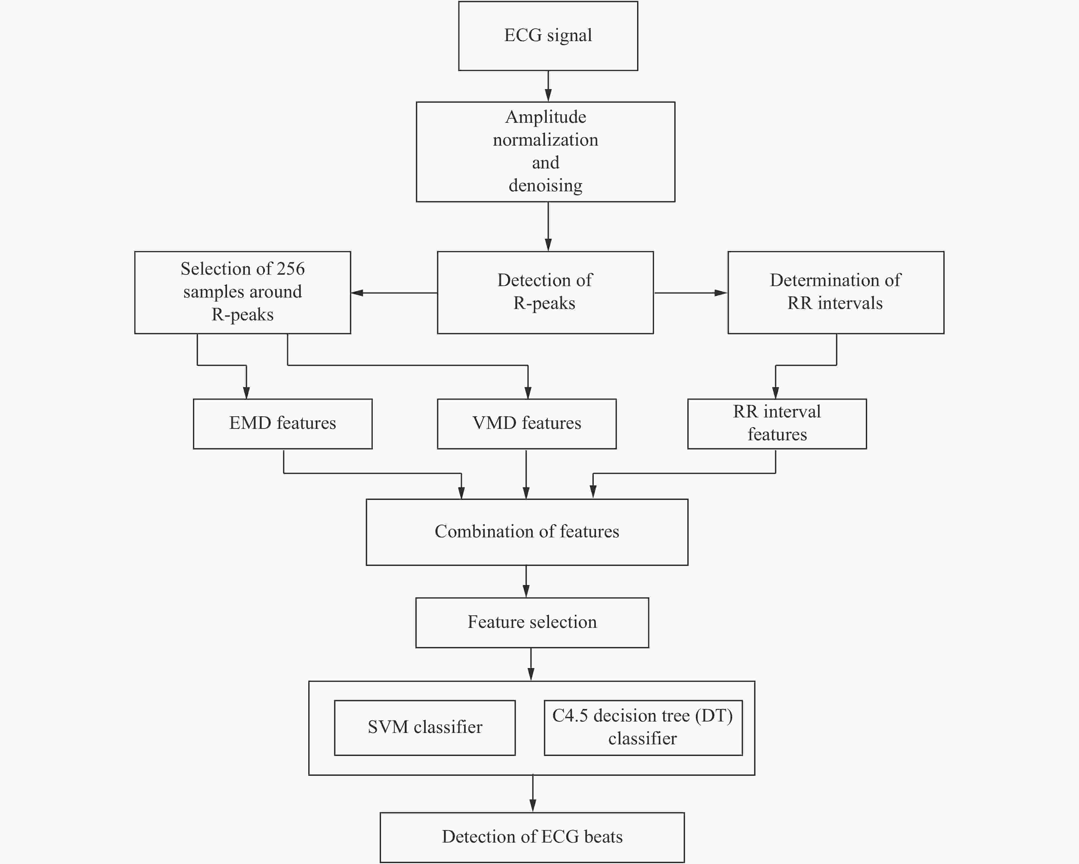 Automatic Classification of Cardiac Arrhythmias Based on Hybrid ...