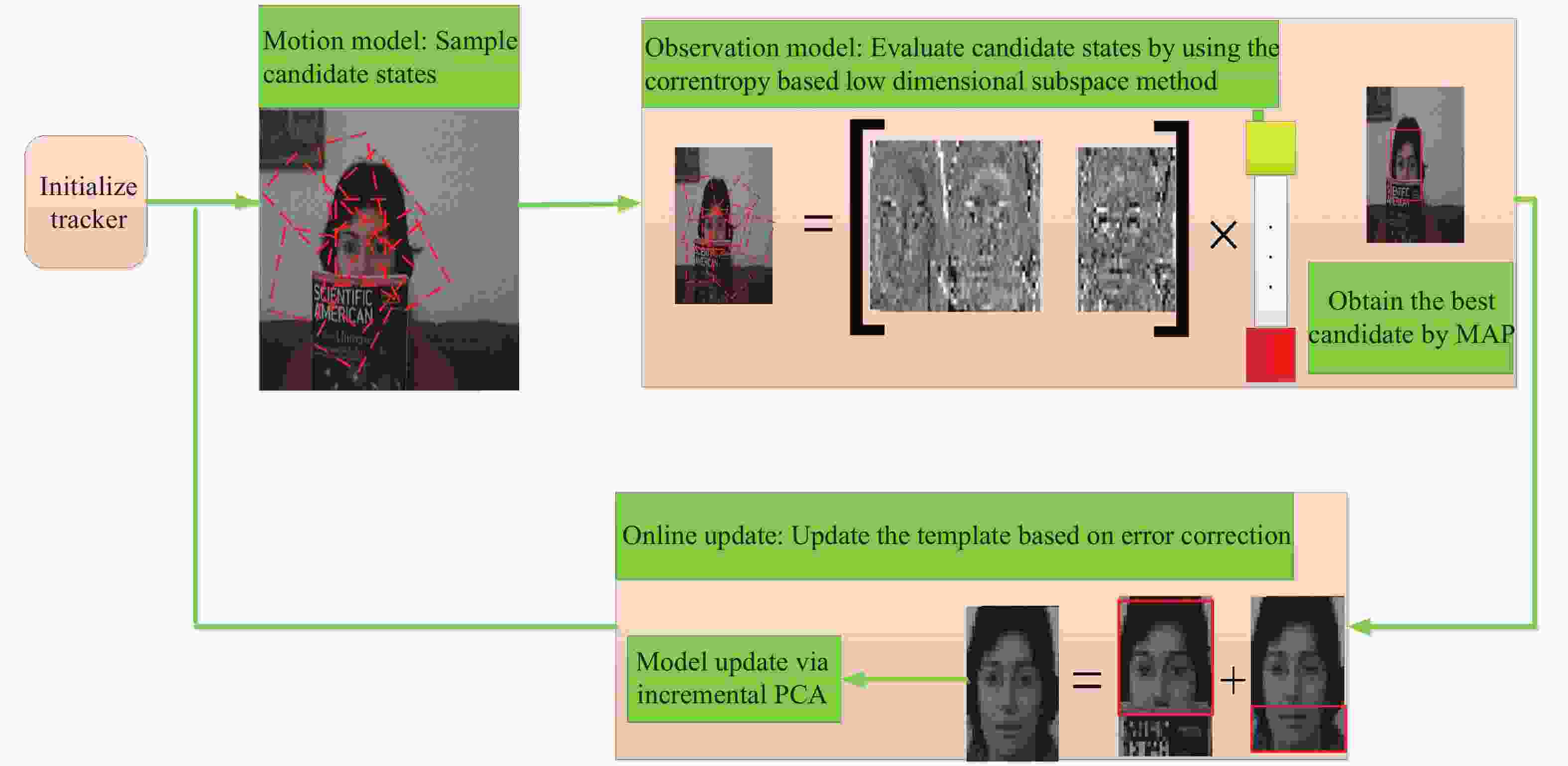 Robust Object Tracking via Information Theoretic Measures
