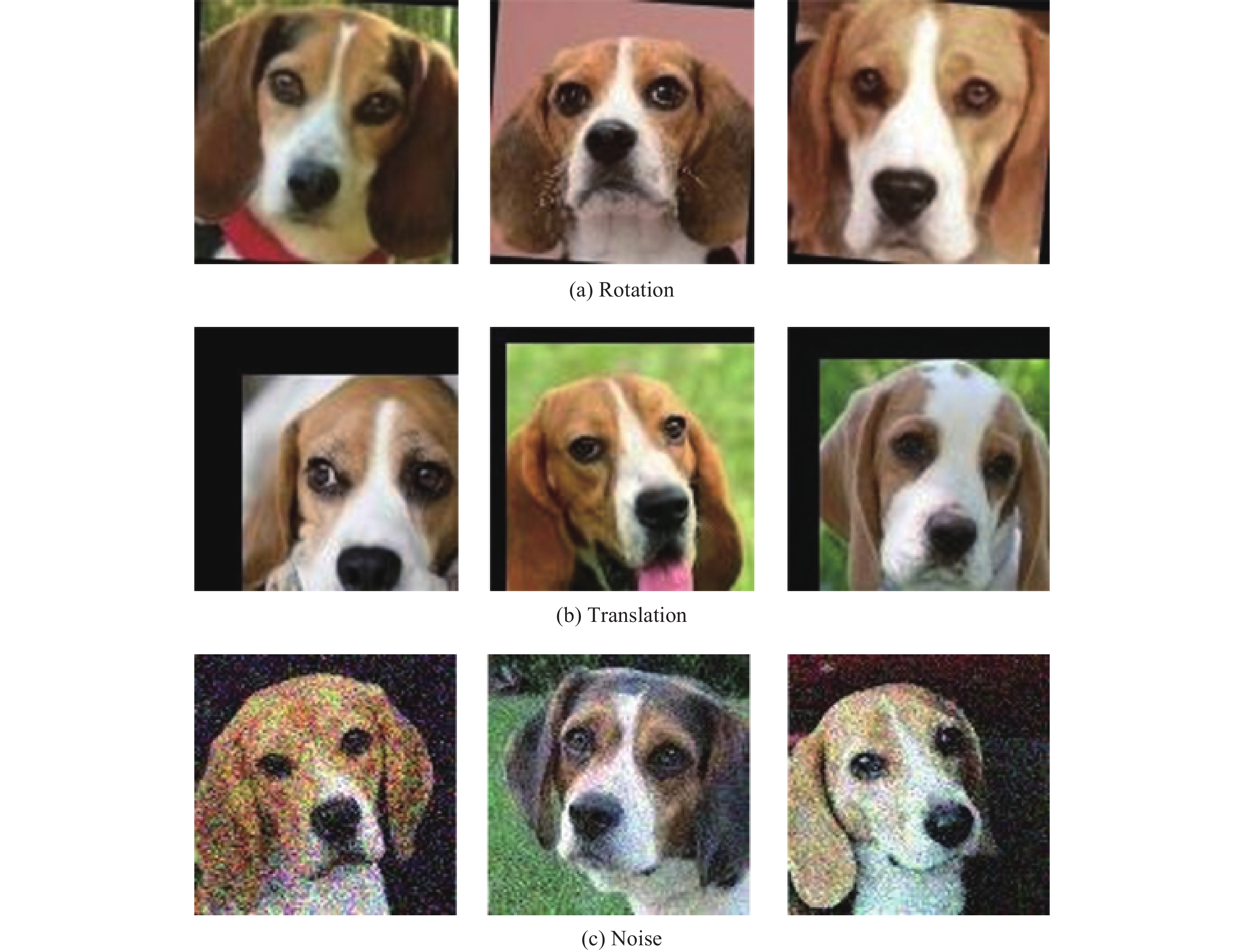 Knowing Your Dog Breed: Identifying a Dog Breed with Deep Learning