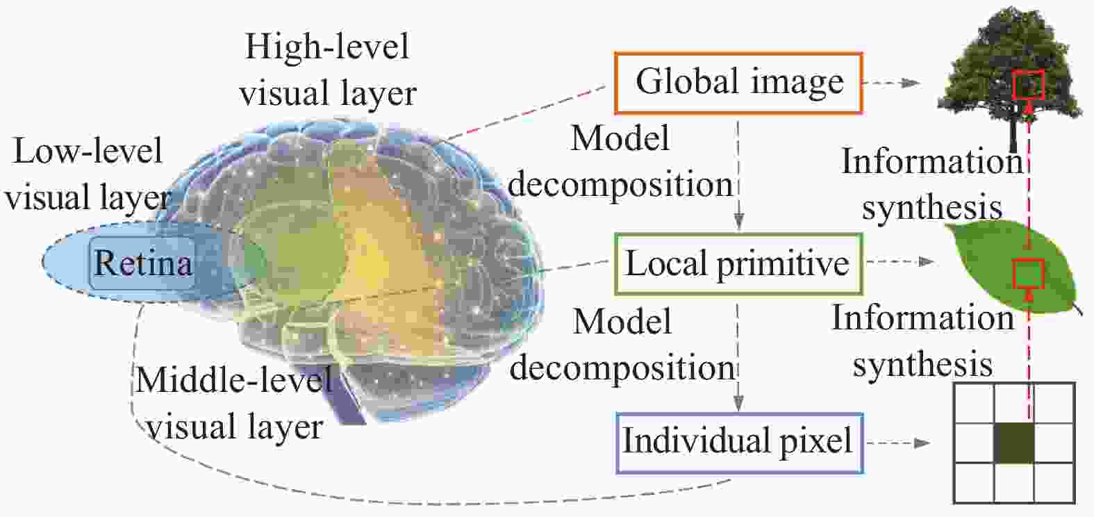 Structured Computational Modeling of Human Visual System for No ...
