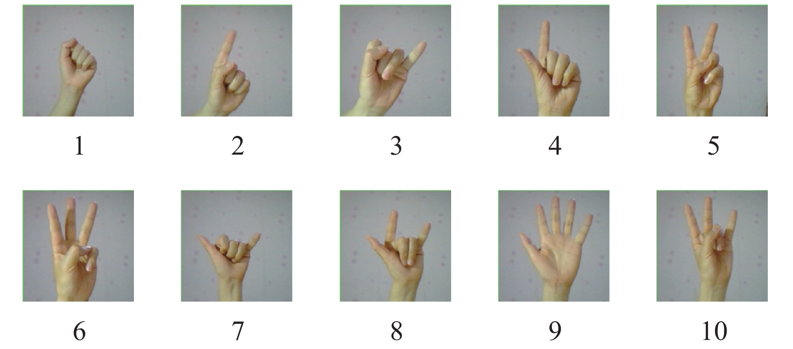 Research on Transfer Learning of Vision-based Gesture Recognition
