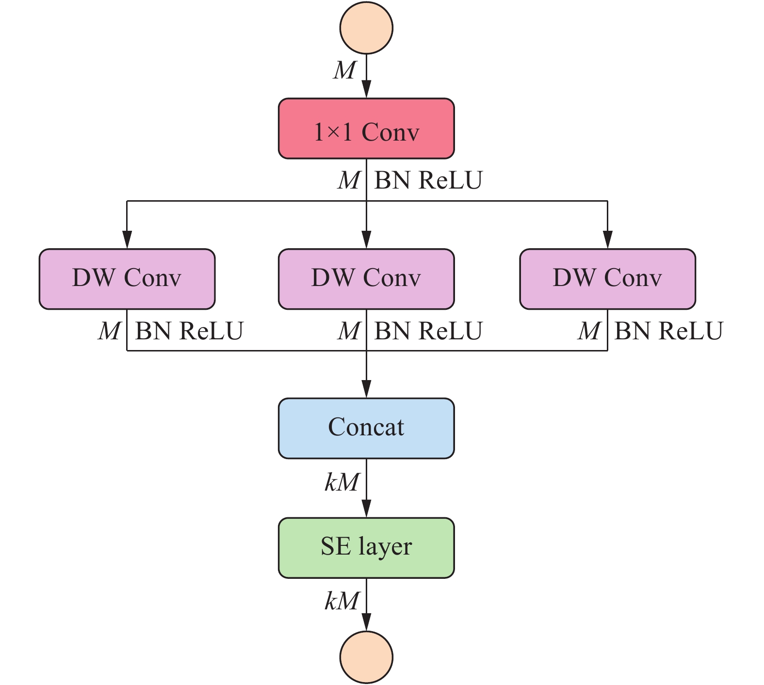 PokerNet: Expanding Features Cheaply via Depthwise Convolutions