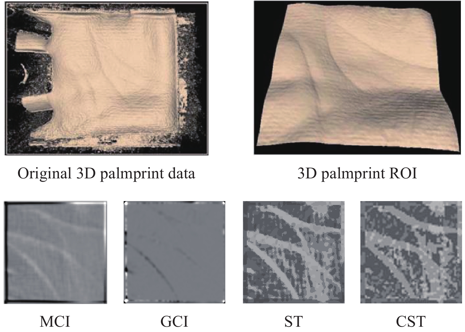 2D and 3D Palmprint and Palm Vein Recognition Based on Neural Architecture Search