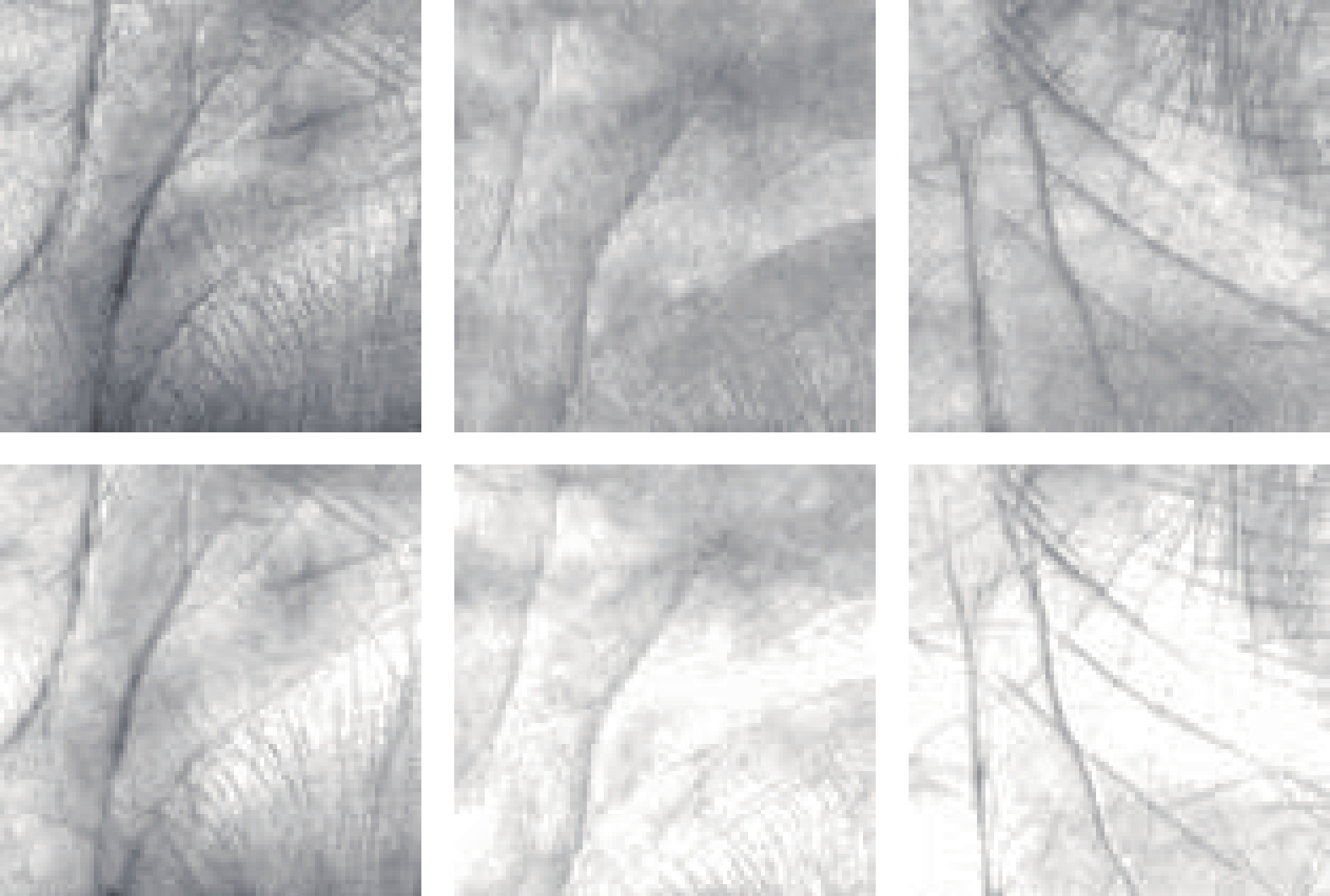 2D and 3D Palmprint and Palm Vein Recognition Based on Neural ...