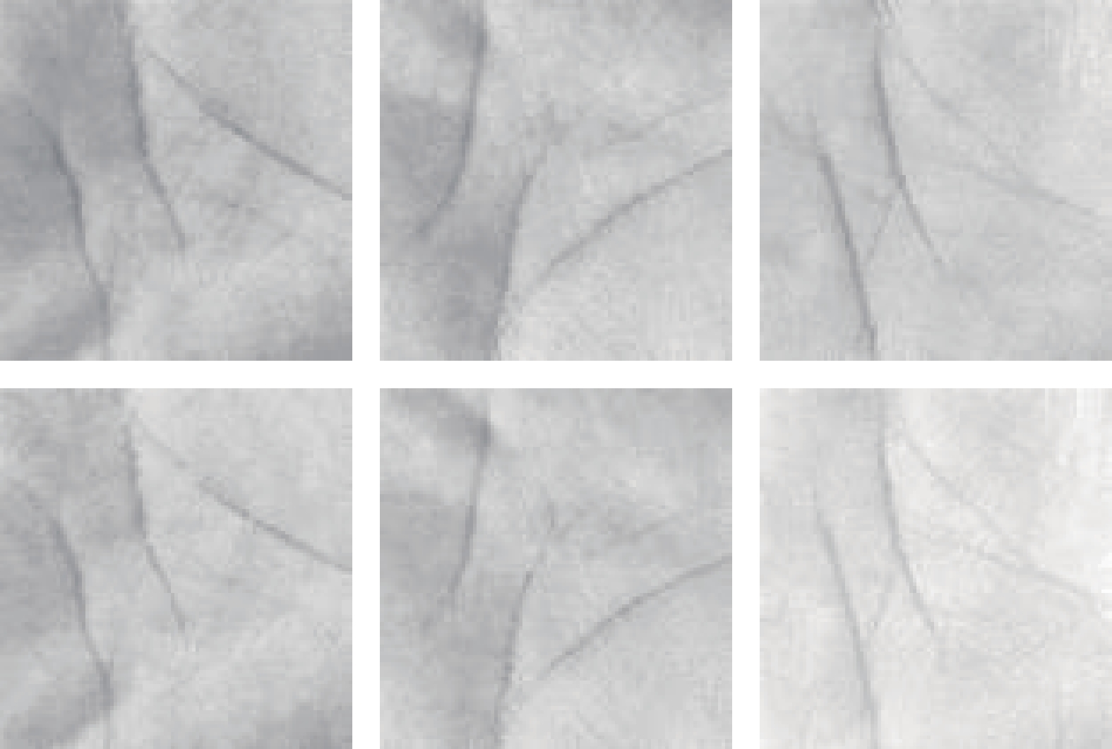 2D and 3D Palmprint and Palm Vein Recognition Based on Neural ...