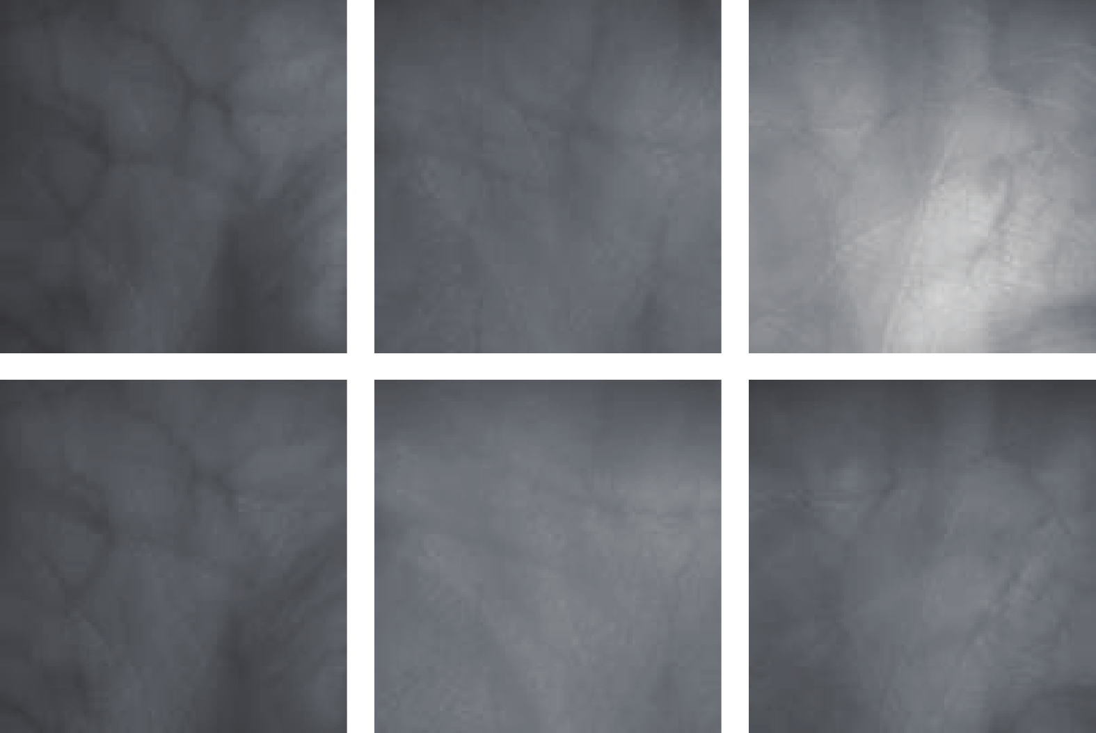 2D and 3D Palmprint and Palm Vein Recognition Based on Neural ...