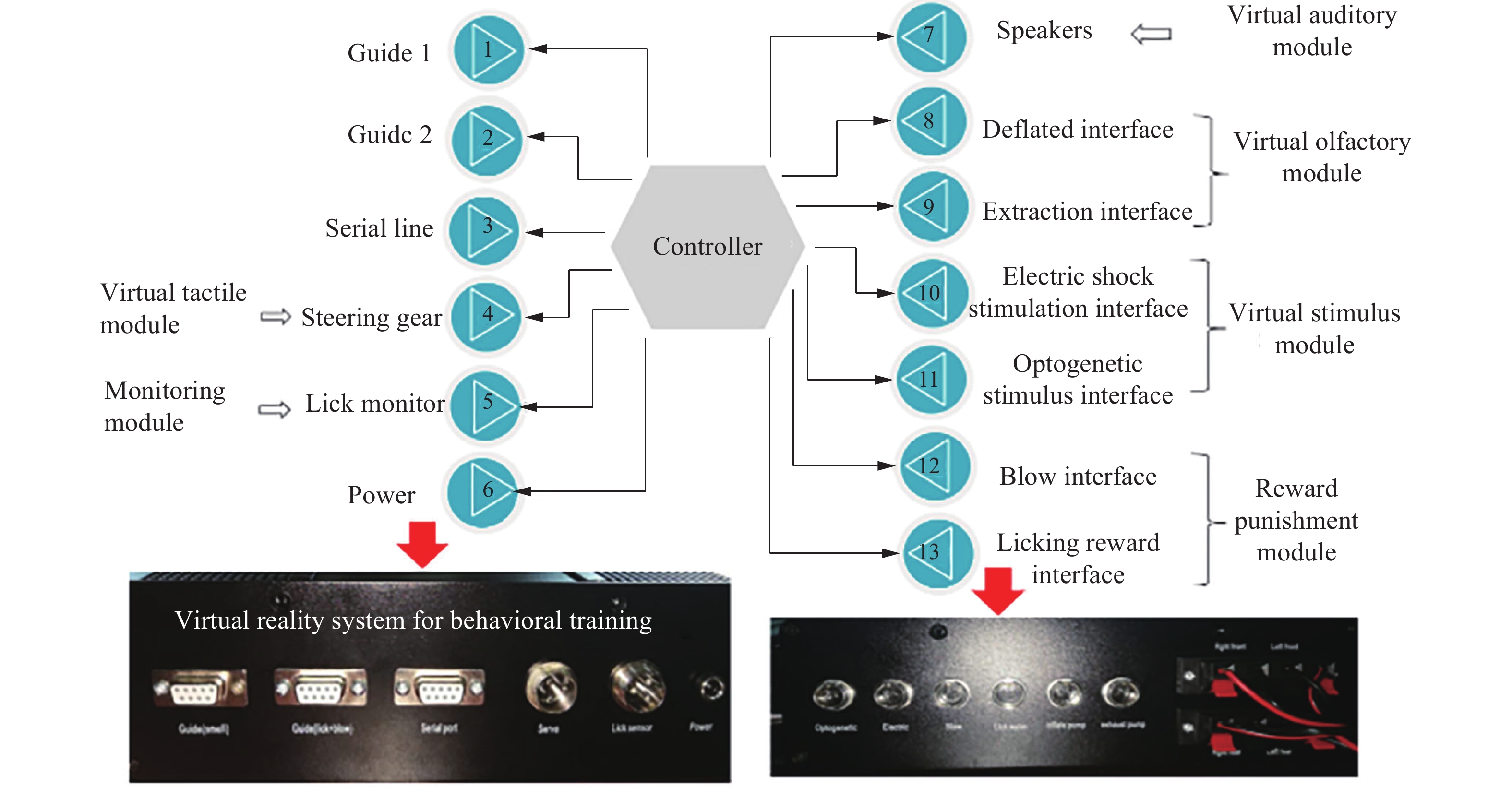 An Immersive Virtual Reality System for Rodents in Behavioral and ...