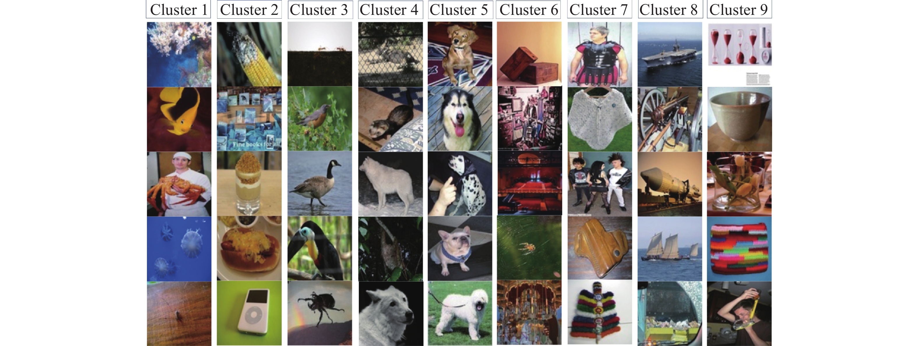 Weakly Correlated Knowledge Integration For Few shot Image Classification weakly-correlated-knowledge-integration-for-few-shot-image-classification