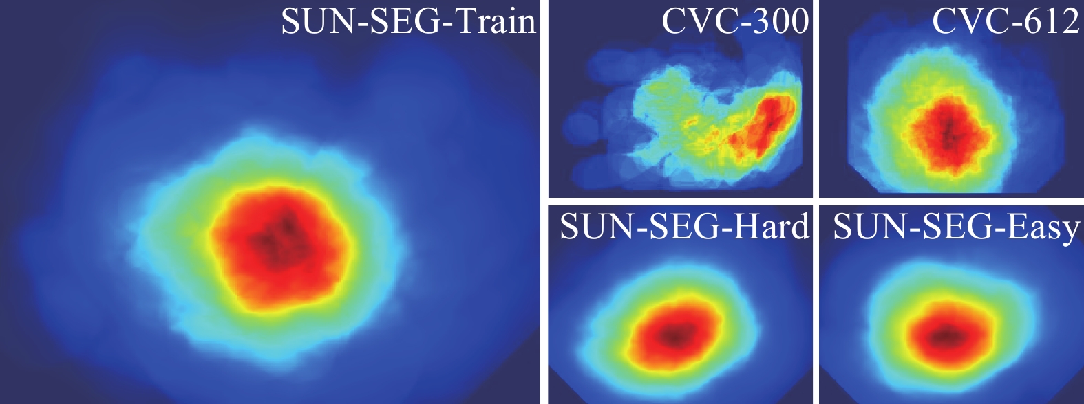 Video Polyp Segmentation: A Deep Learning Perspective